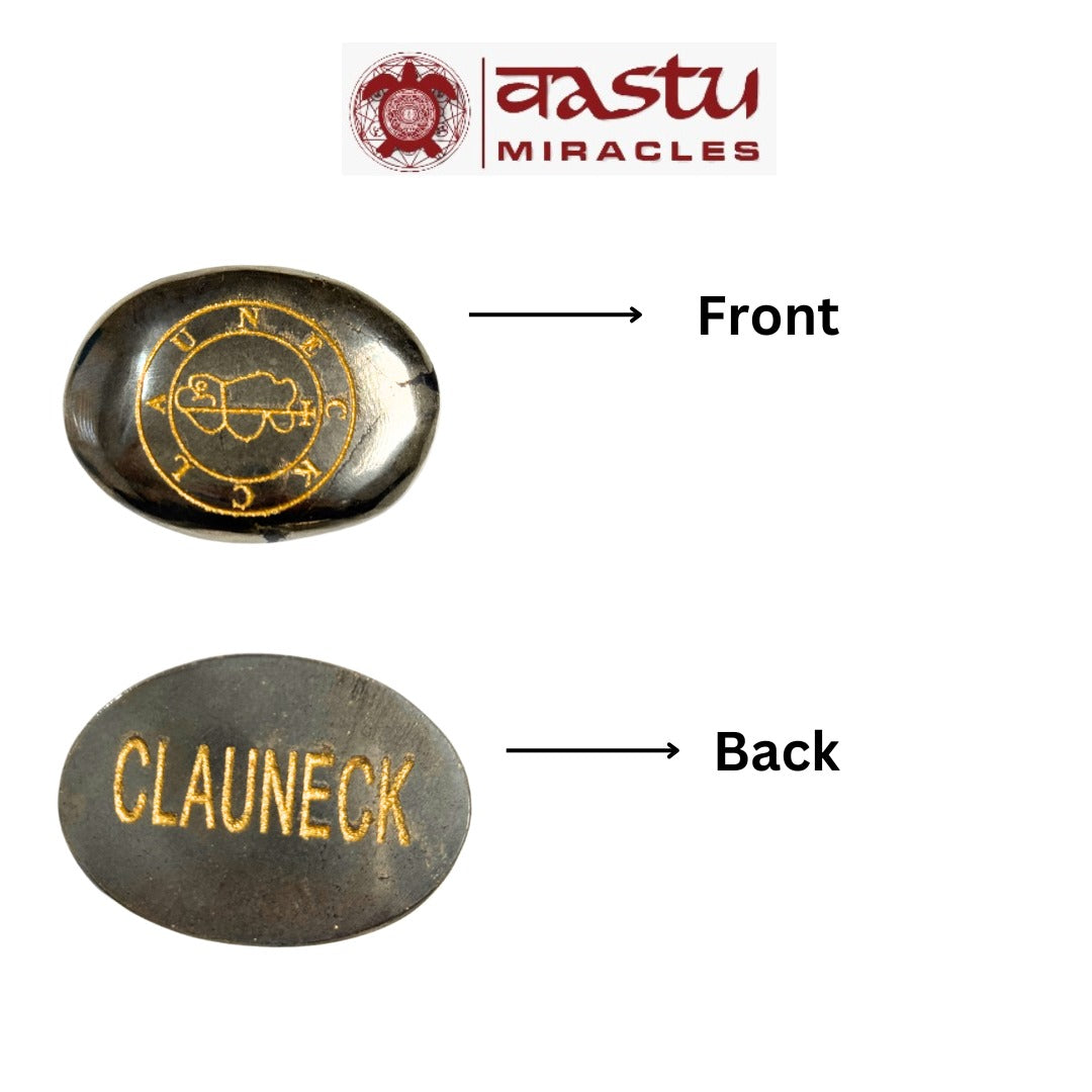 Clauneck pyrite zibu coin | Vastu Miracles